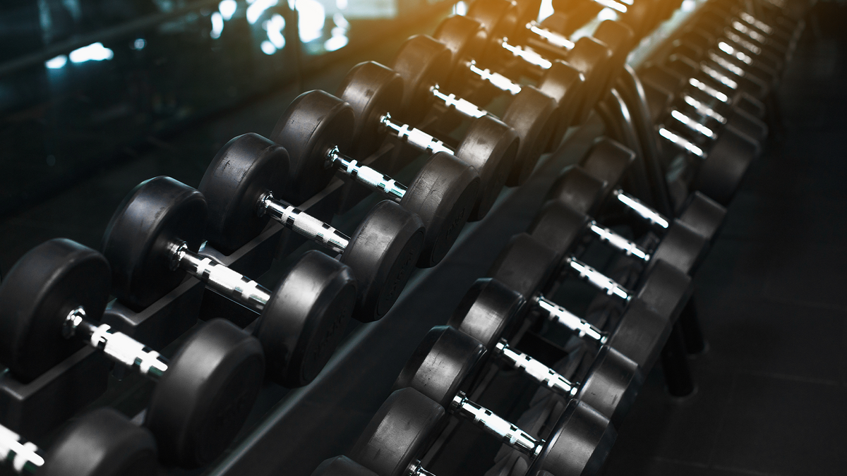 How Do You Build Muscle (And Does Your Body Type Matter)?