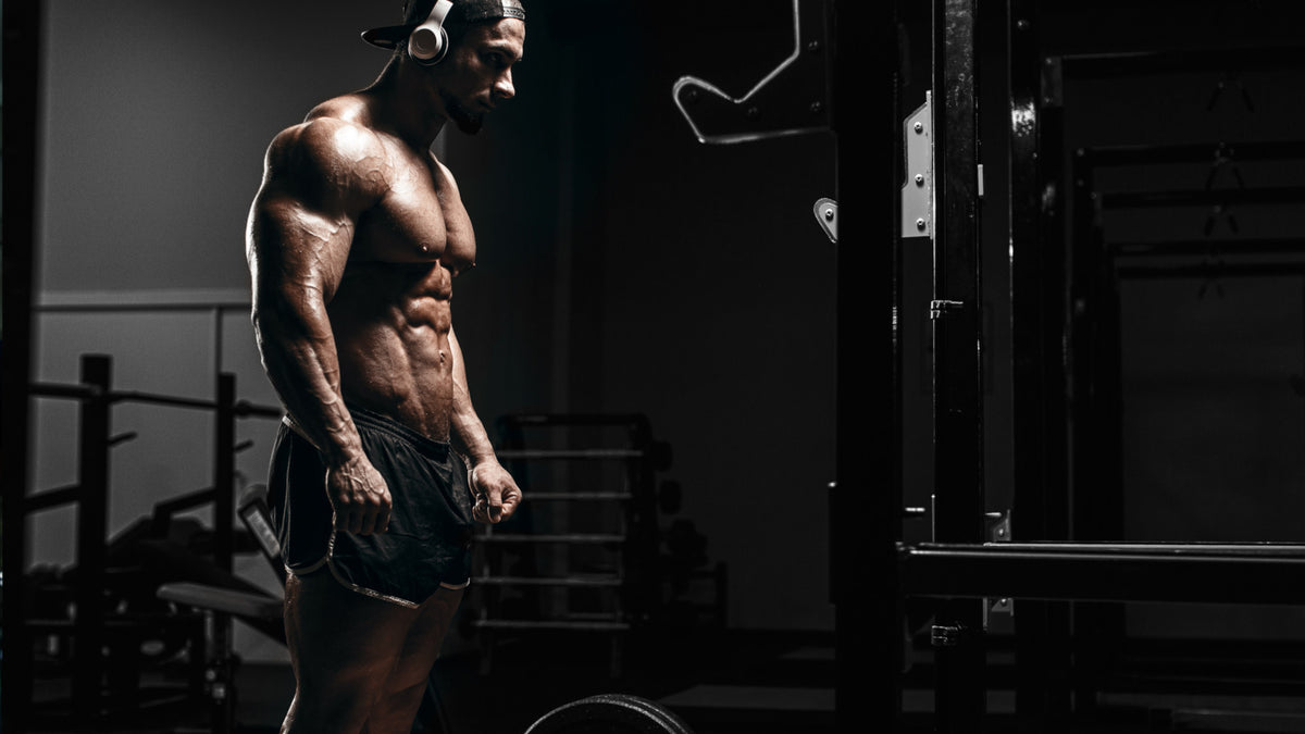 Reverse Pyramid Training: A Complete Guide to RPT